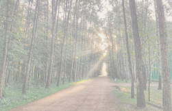 Новости, публикации и инсайты. Юридическая фирма АЛРУД